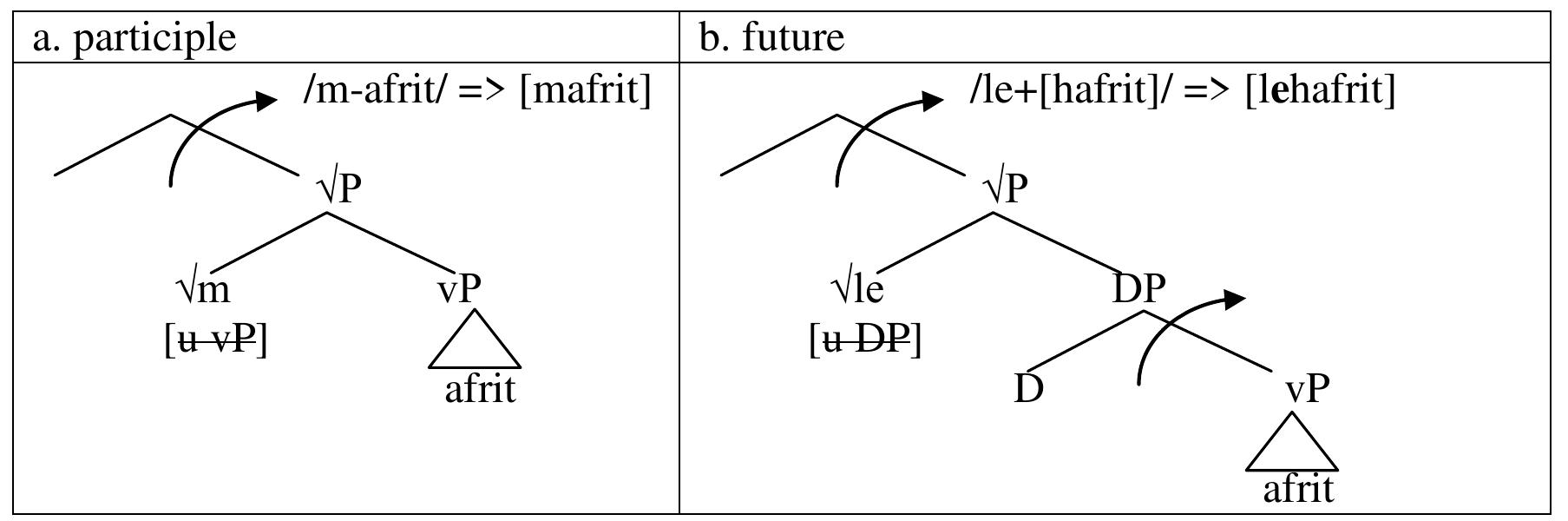 (18) syntactic structures of participle and infinitival