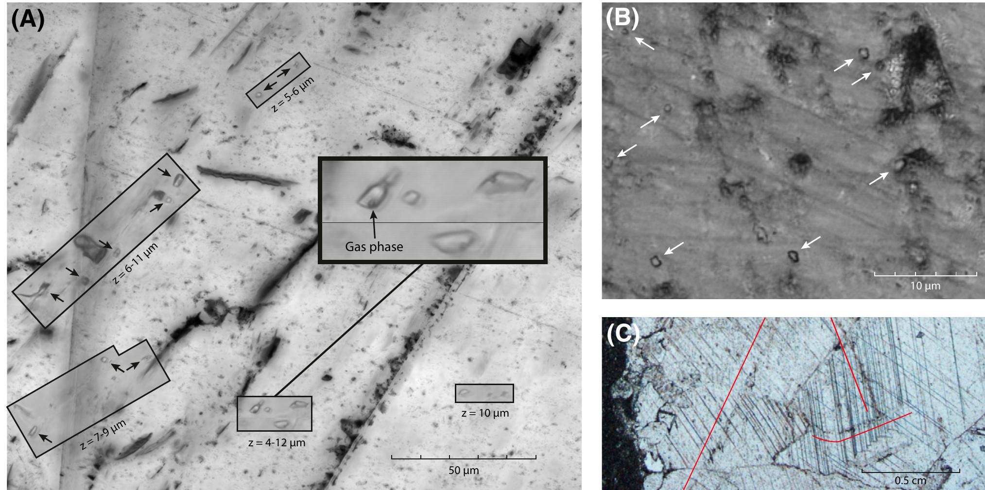 Petrographic appearance of fluid inclusions hosted in