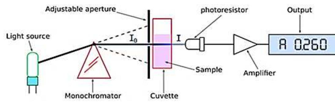 The block diagram of a basic single-beam spectrometer