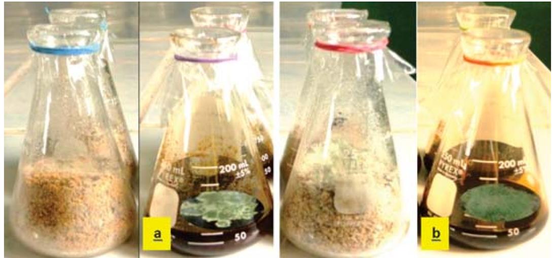 Figure 3 - from Formulation and Testing of Combined Organic