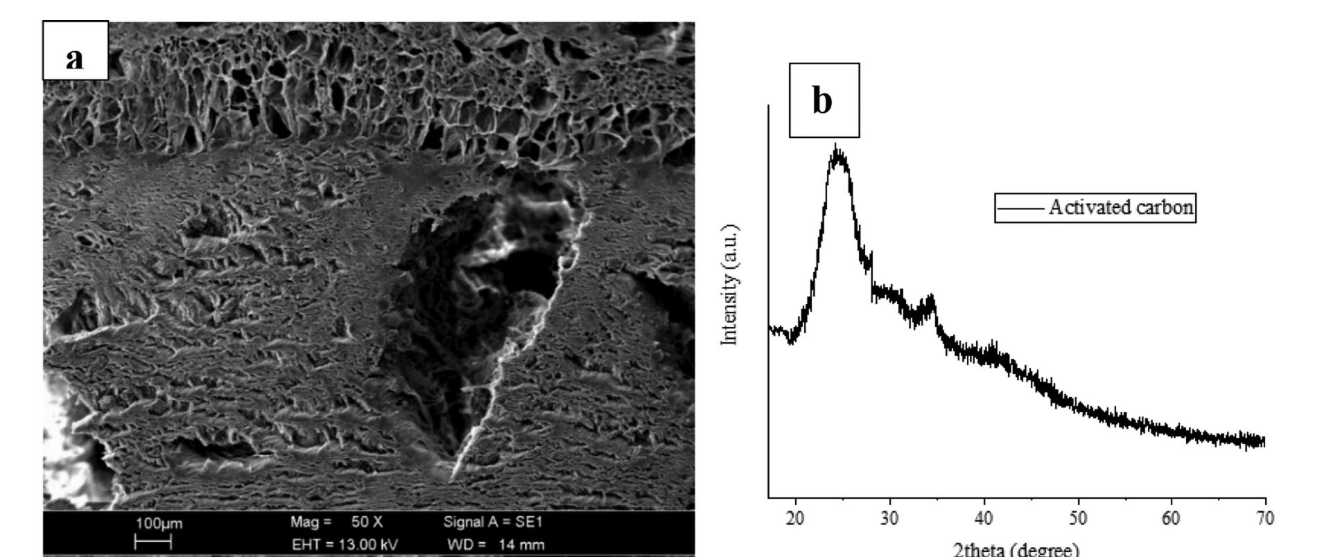 (a) sem and (b) xrd images of synthesized activated carbon