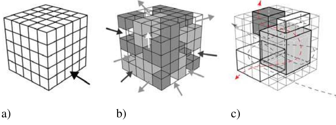 Different types of typology: a) hard typology with linear