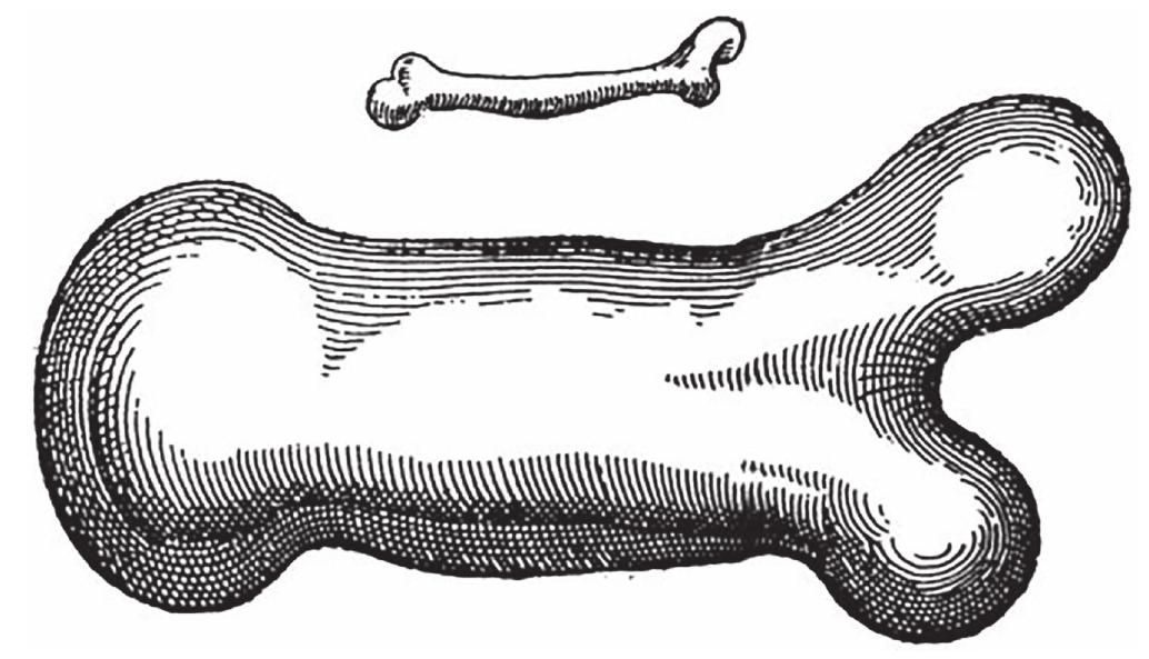 Source: figure adapted from galileo 1914 [1638]. reproduced