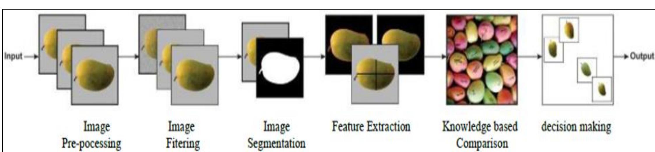 Flow of fruit classification process