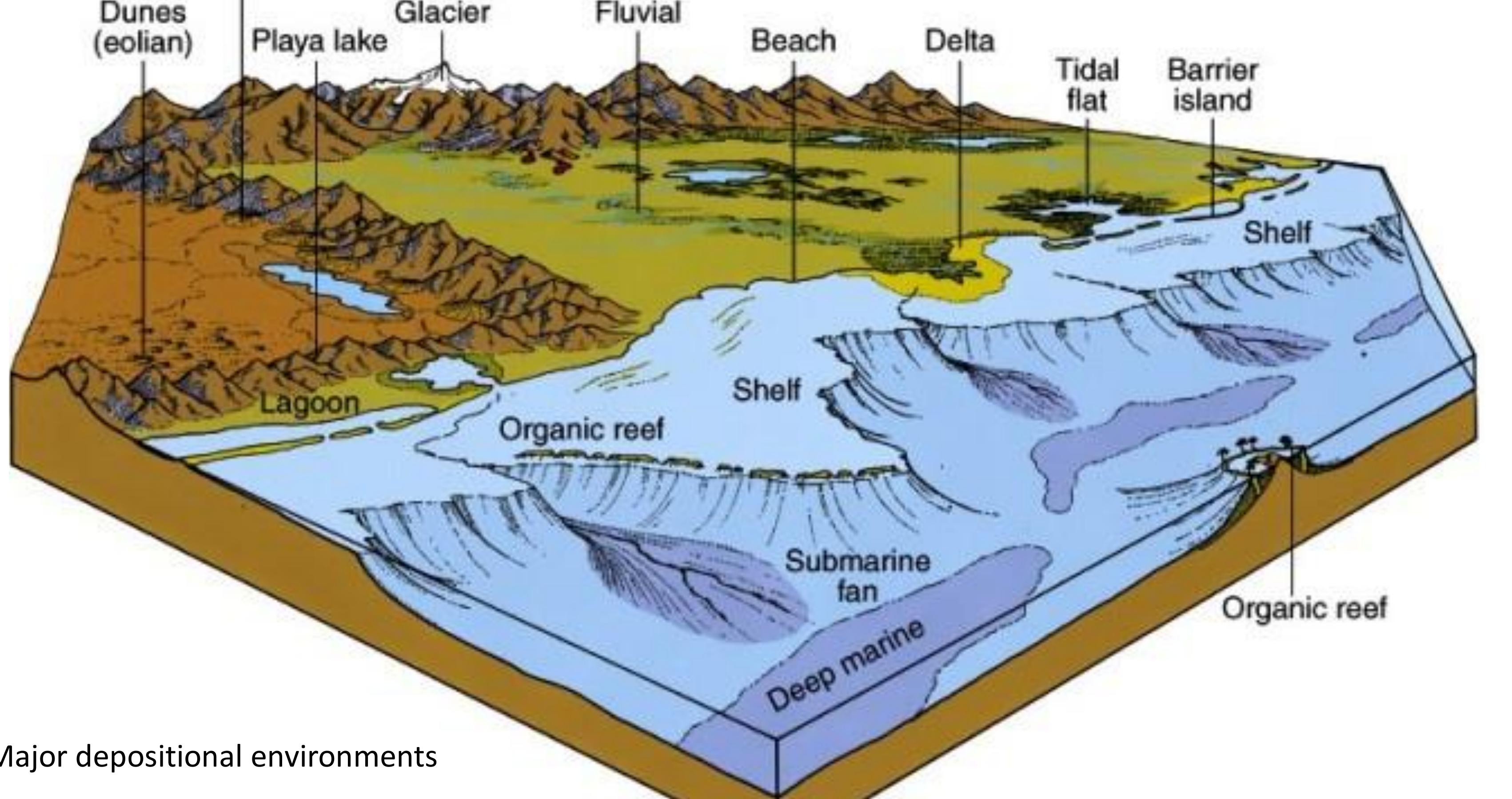 Figure 11 - Sedimentary Environment, Sedimentary Facies and