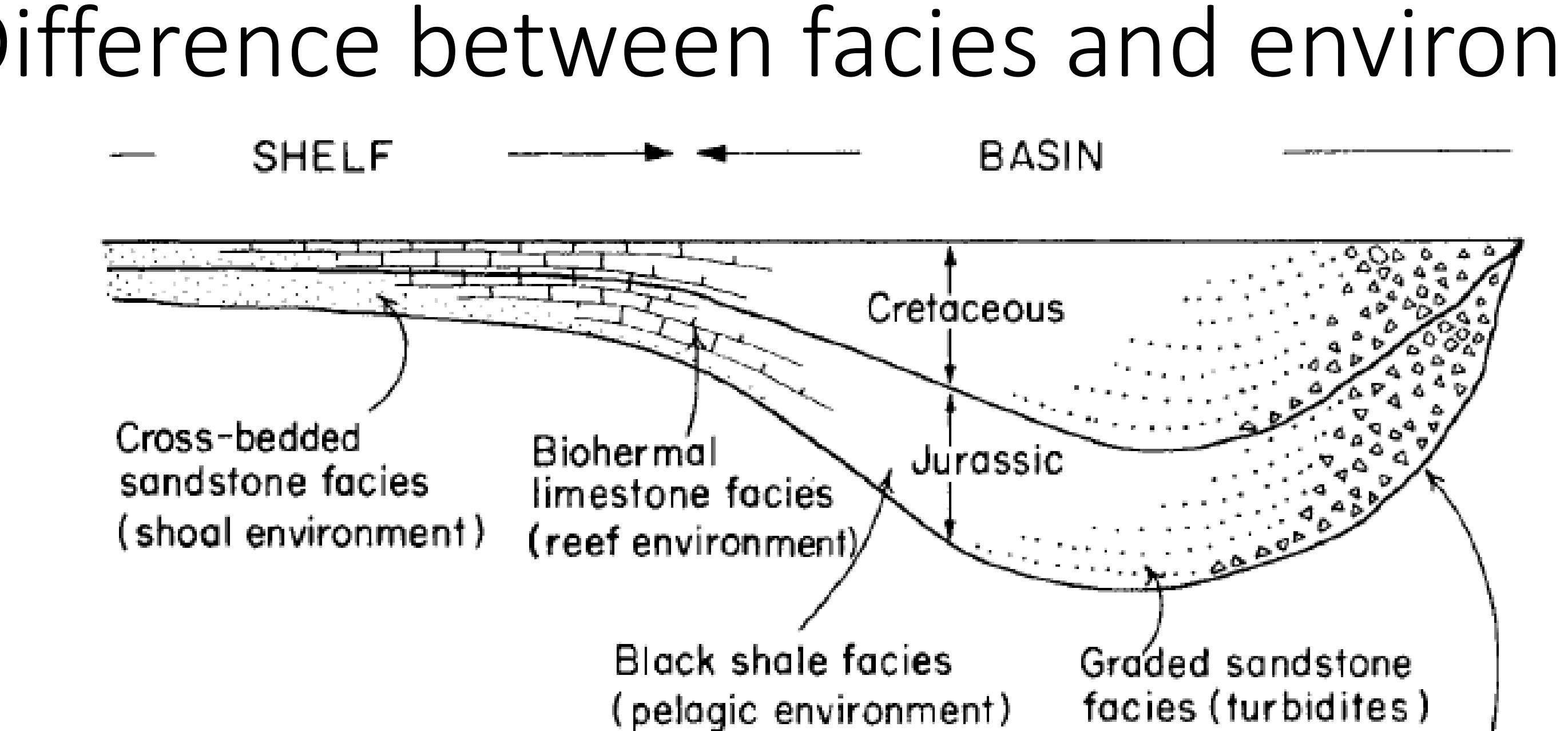 Figure 12 - Sedimentary Environment, Sedimentary Facies and