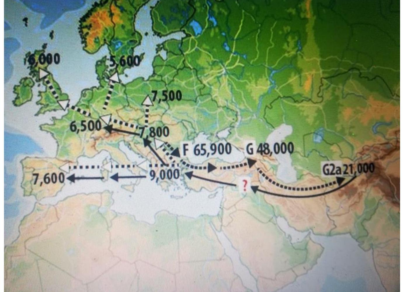 Map of the spread of gene g2a according to anton perdih a