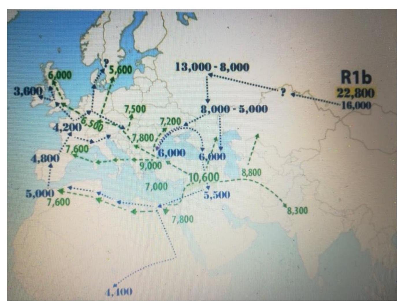 Map of the spread of gene r1b according to anton perdih