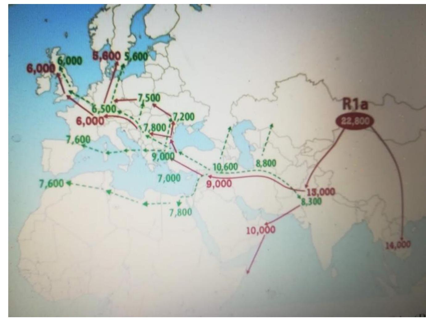 Map of the spread of gene r1a according to anton perdih