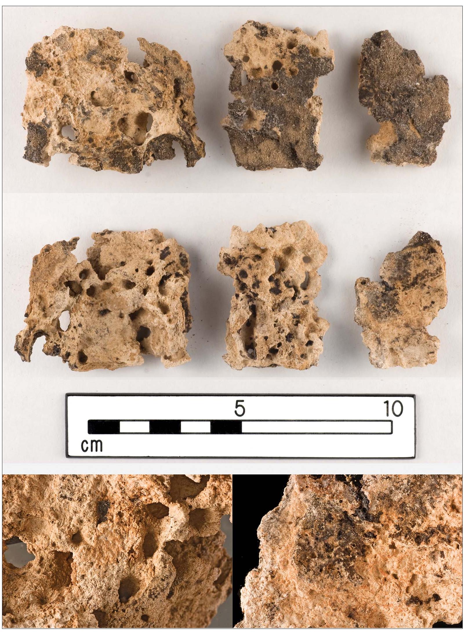 The largest pieces of cone 1 showing the outer (above) and