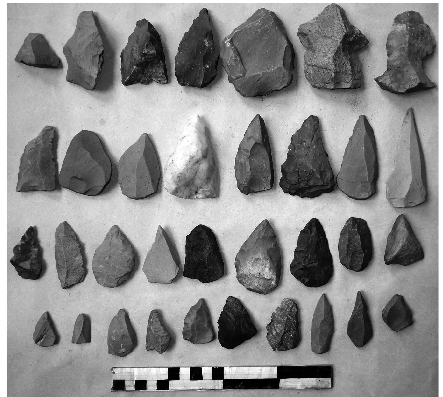 (PDF) Regional Diversities of Paleolithic Stone Tools: Comparative ...