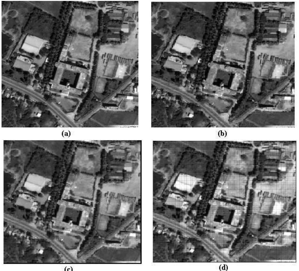 (a) original low resolution satellite’s image. (b) bicubic