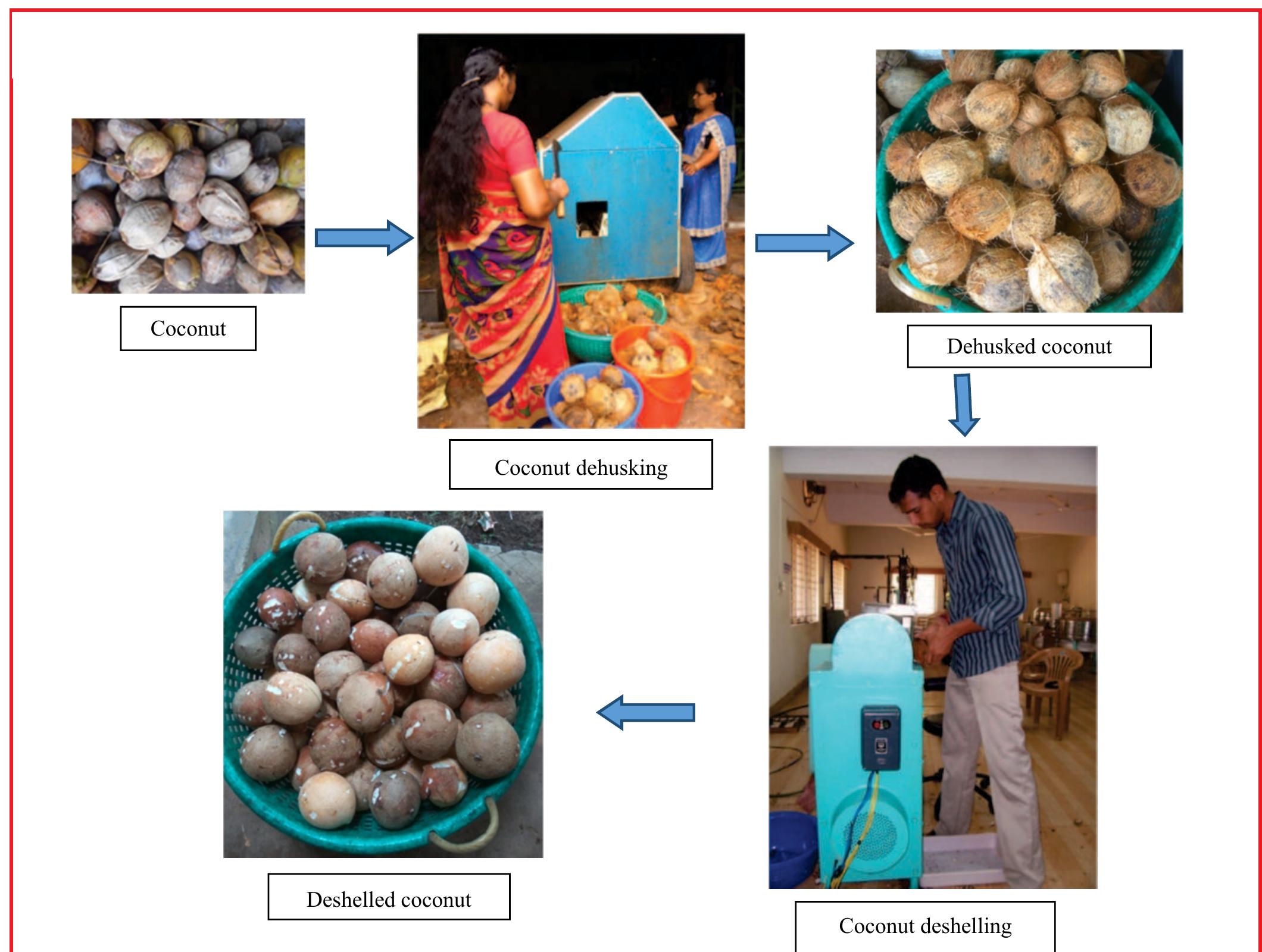 Coconut de-shelling process flow diagram