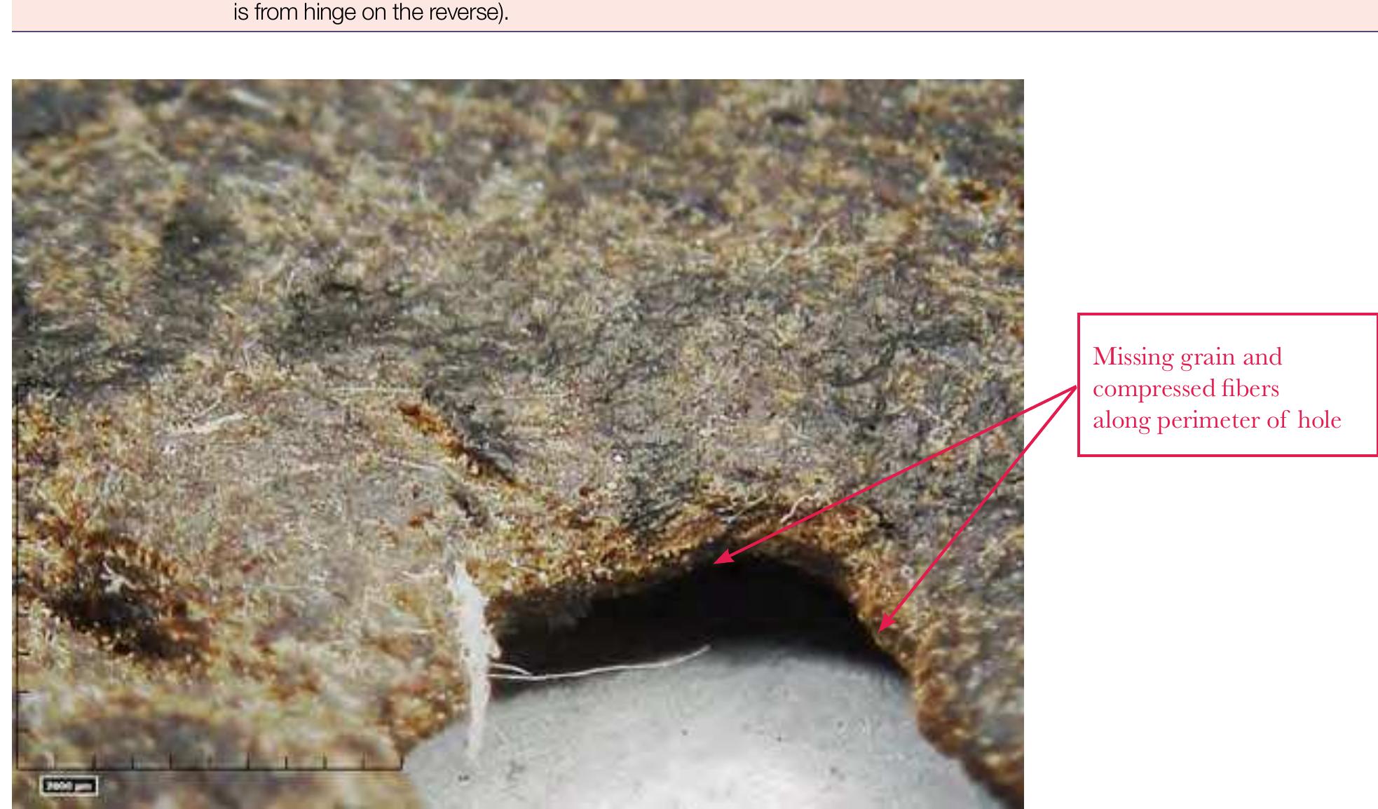 Figure 88 - (2019) Museum of the Bible Dead Sea Scroll