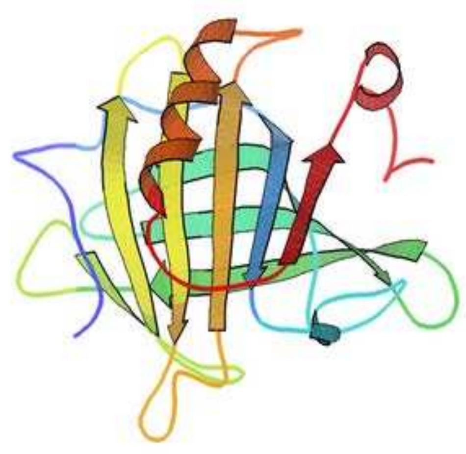 Figure 2 - from Identification and Characterization of whey