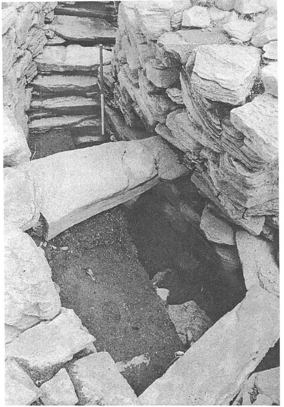 Plate 43: stair to ground floor level (phase 12) side (plate