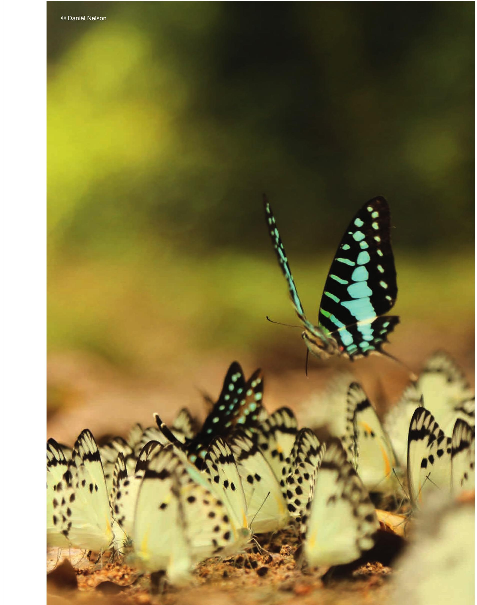 Figure 48 - BENDING THE CURVE OF BIODIVERSITY LOSS LIVING