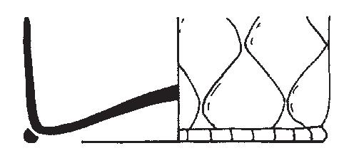 Cylindrical beaker with optic-blown mesh the optic