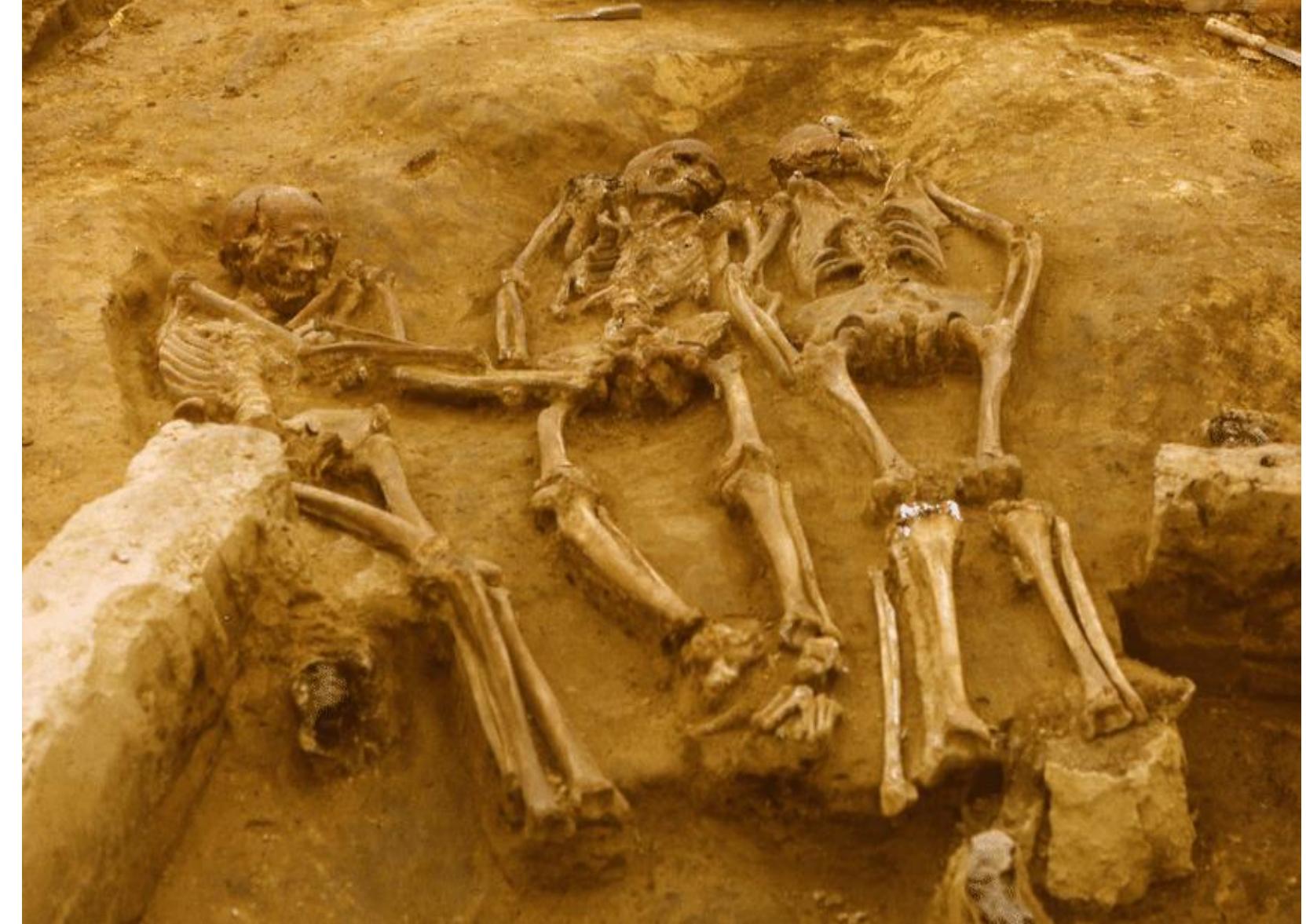 The triple burial of dolni vestonice ii. after: