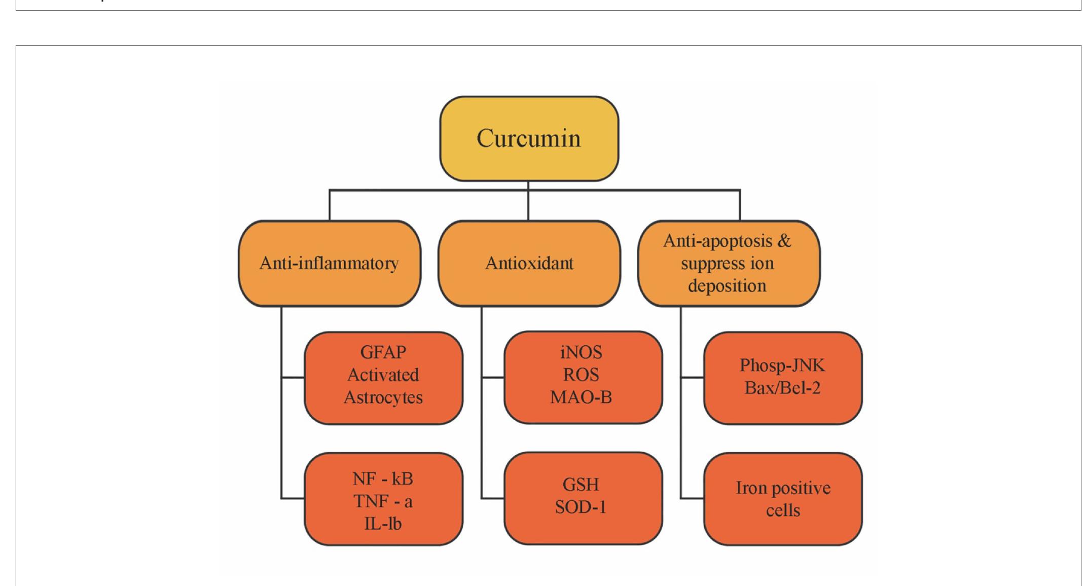 | curcumin mechanism of action in neuroinflammation. figure