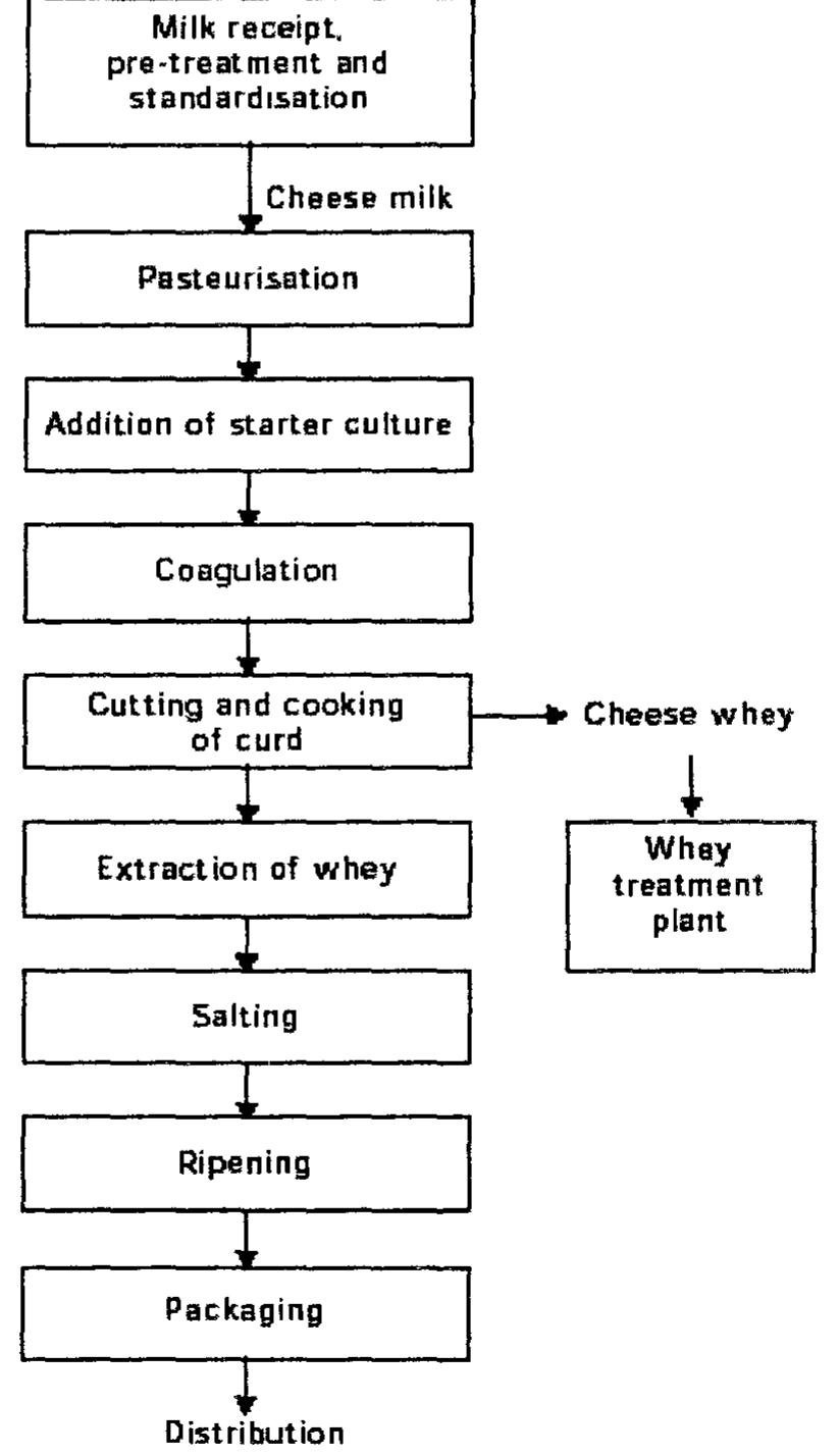 Flow diagram for a typical cheese plant