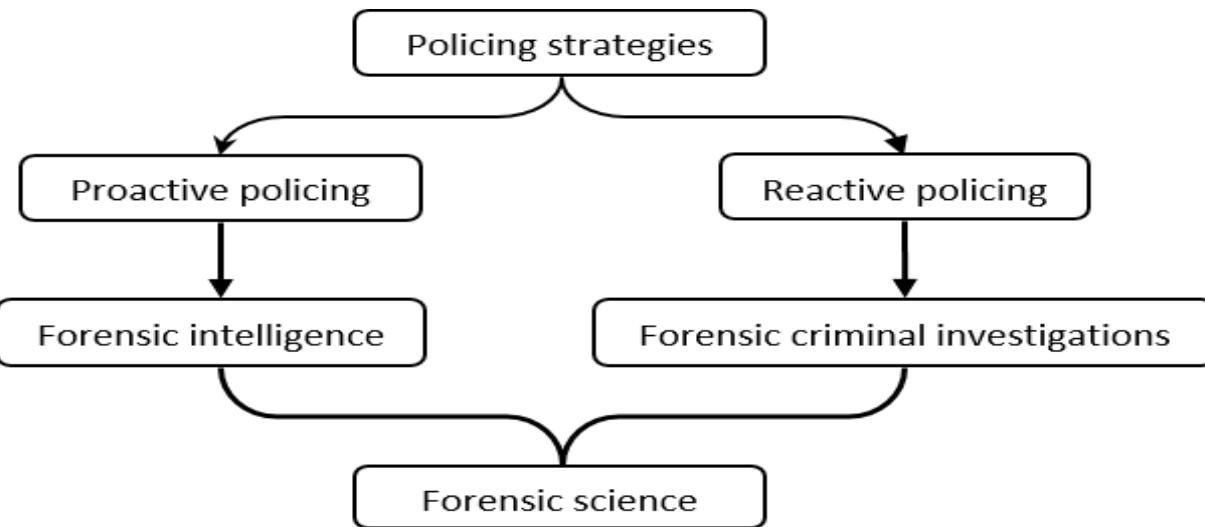 Diagram showing how policing strategies can be done with