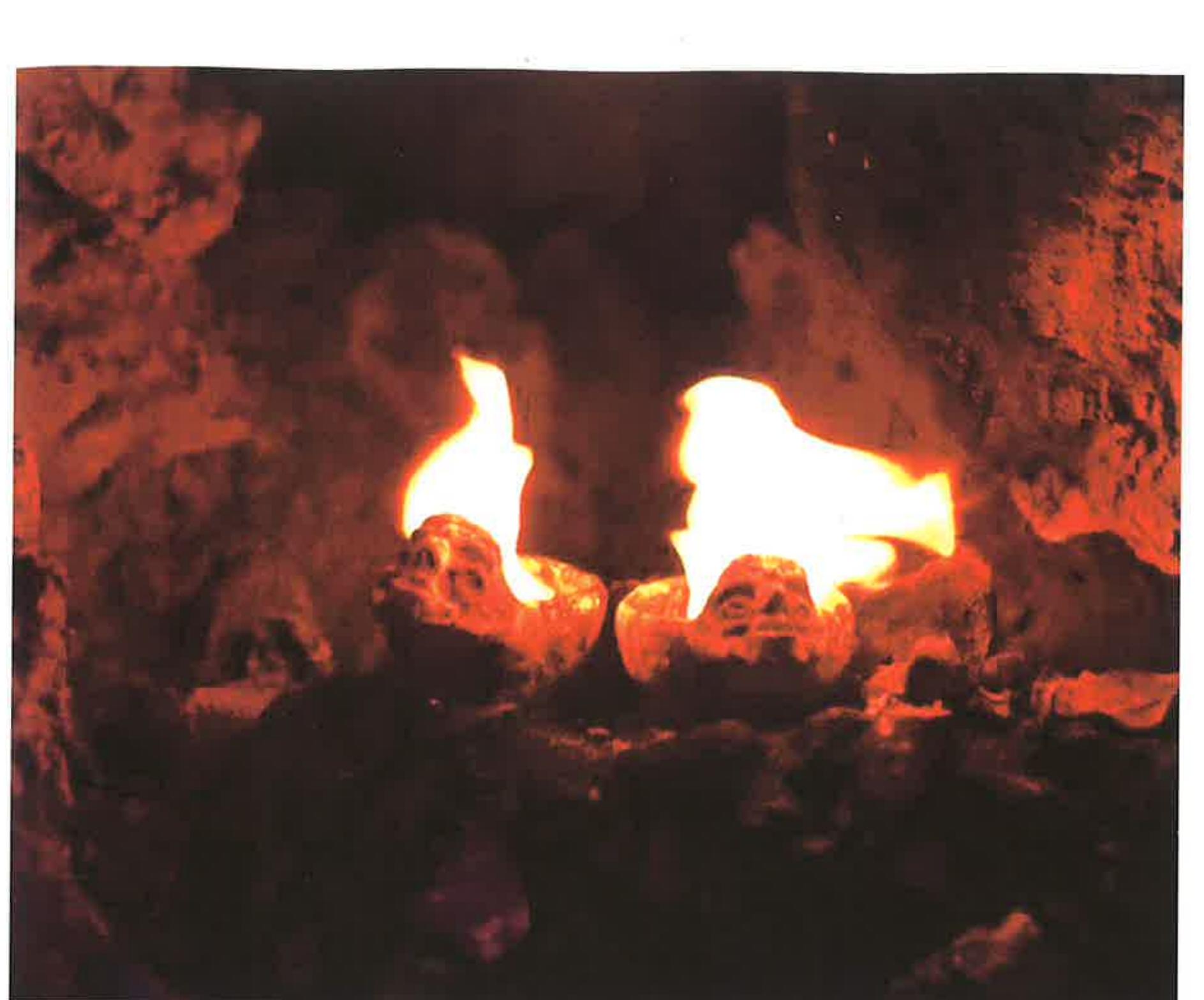 Figure 11 - from Where There's Fire There's Smoke: Lacandon