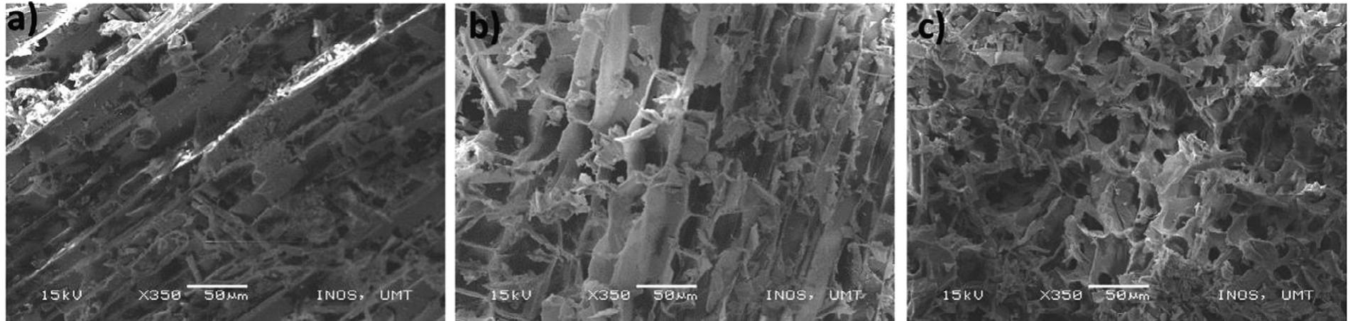 Sem micrography (magnification x 350) of biochar produced