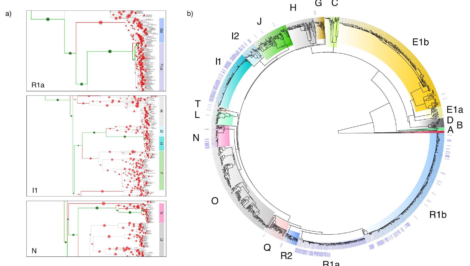 (PDF) Supplementary Informationd for Population genomics of the Viking ...