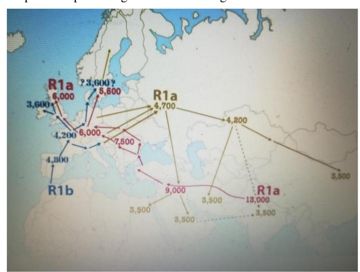 Map of the spread of genes rla et r1b according to anton