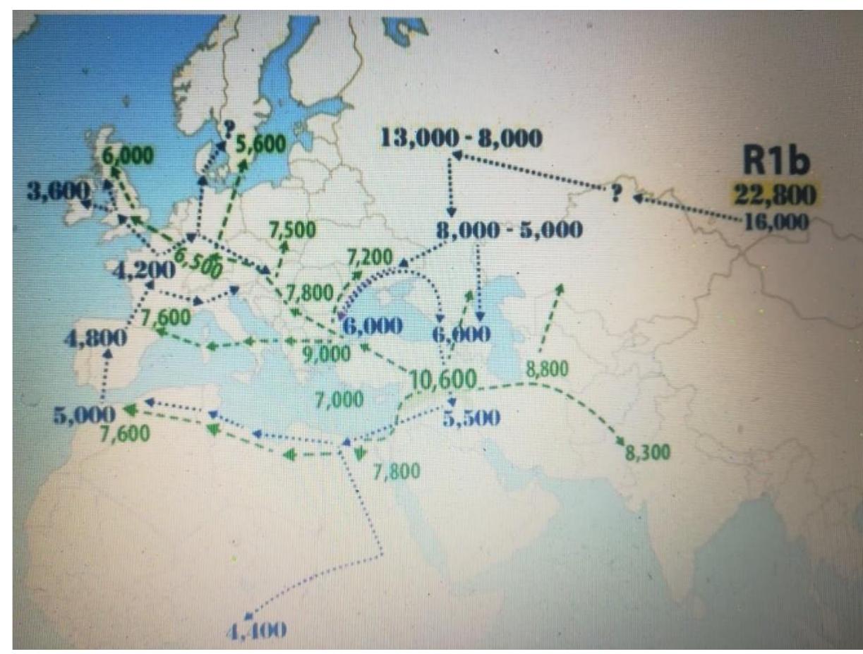 Map of the spread of gene r1b according to anton perdih