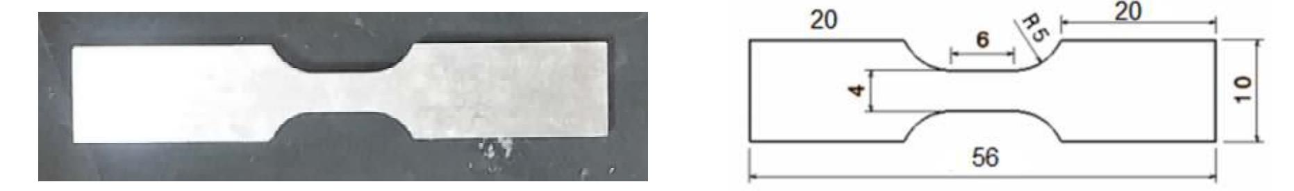 The tensile test sample according to jis z 2201:1998