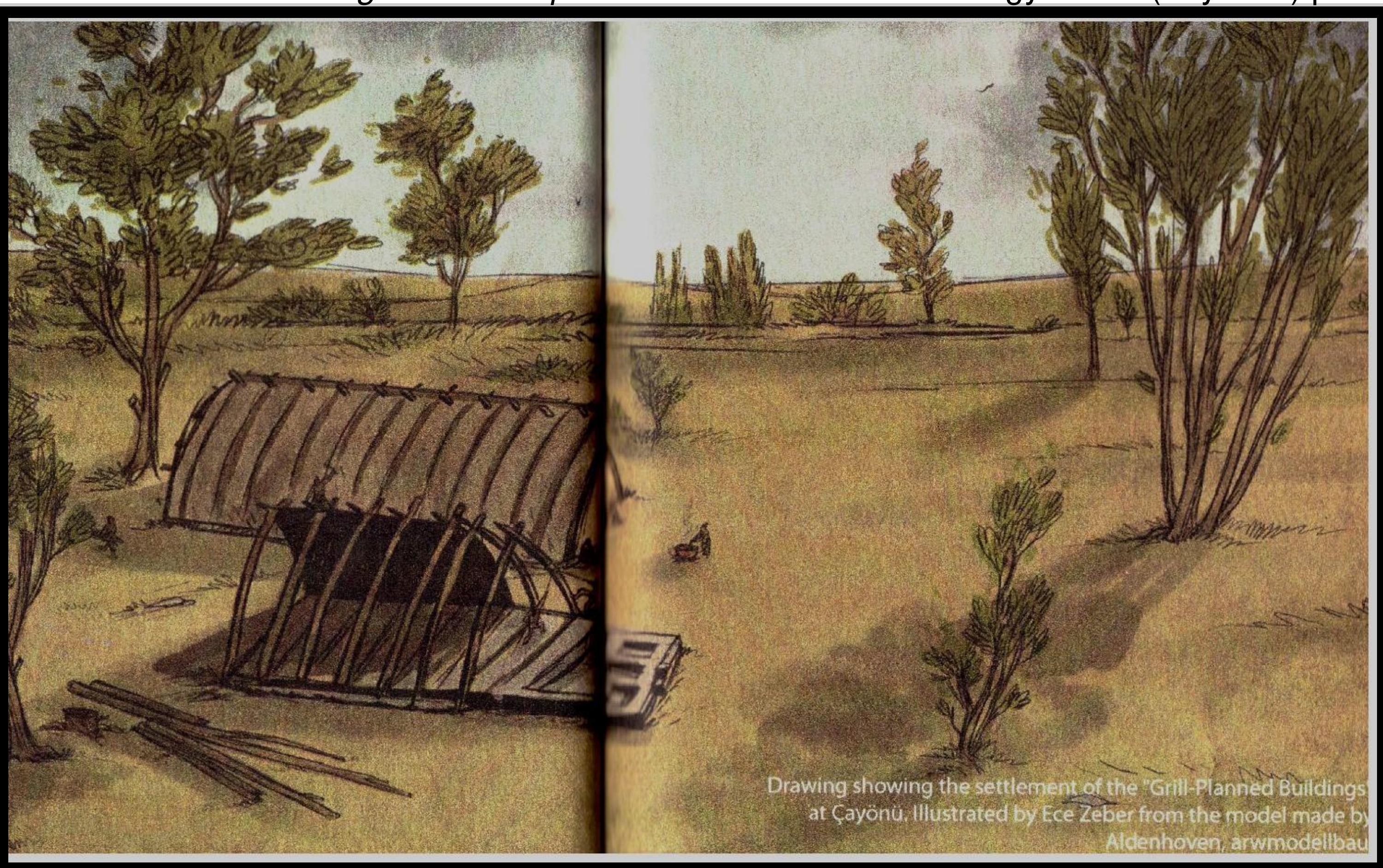 Figure 8 - Anth.245 Ppt. Lecture-3: Neolithic Anatolia,