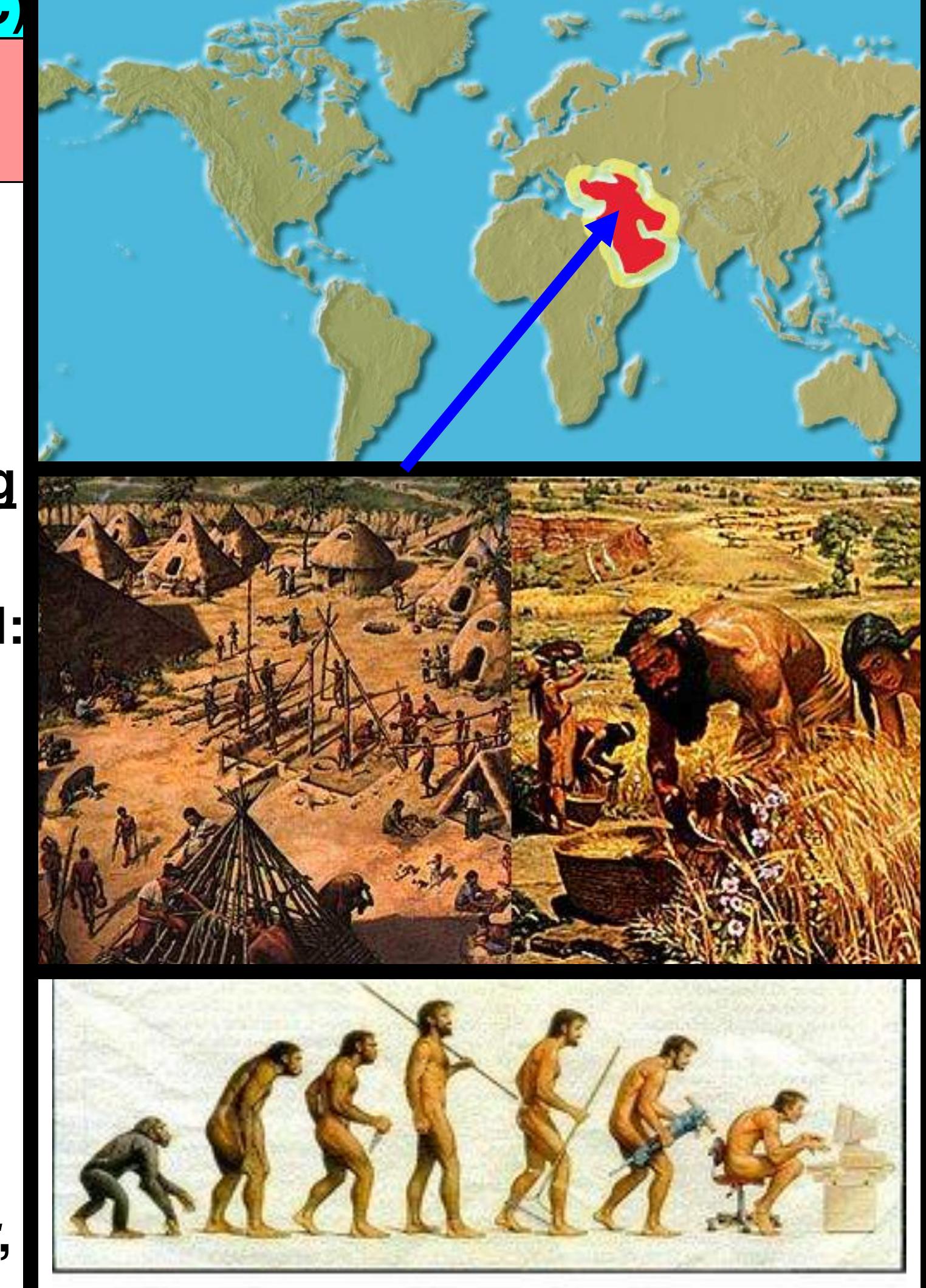 Figure 210 Anth245 Ppt Lecture 3 Neolithic Anatolia