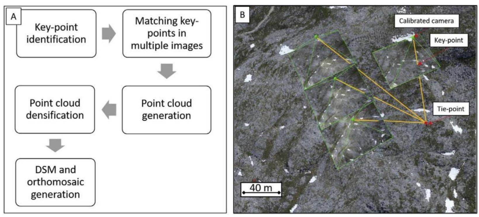 Stages of digital surface modeling (a) and illustration of