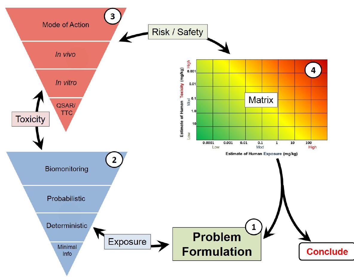 6 the risk21 roadmap. this diagram is a schematic
