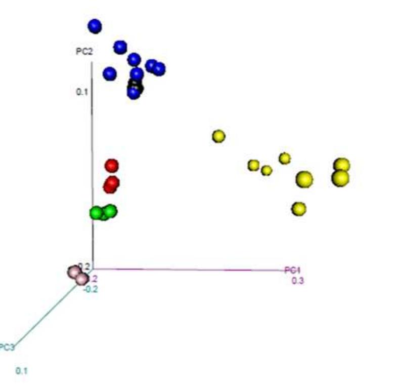Figure 52 - SEURAT-1 Annual Report Vol 6 HD