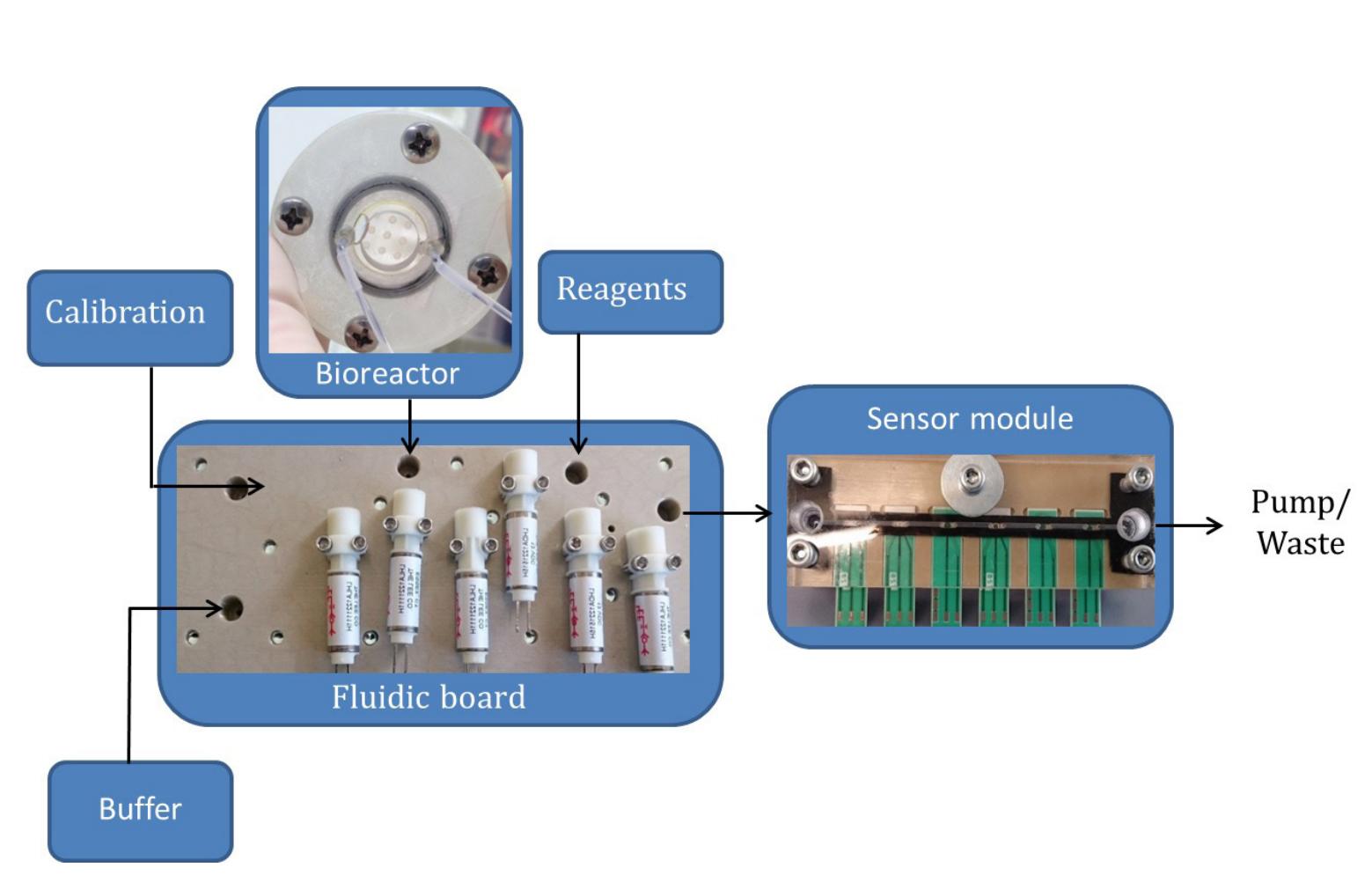 30 Scheme Of The Automated Bioreactor Monitoring Setup