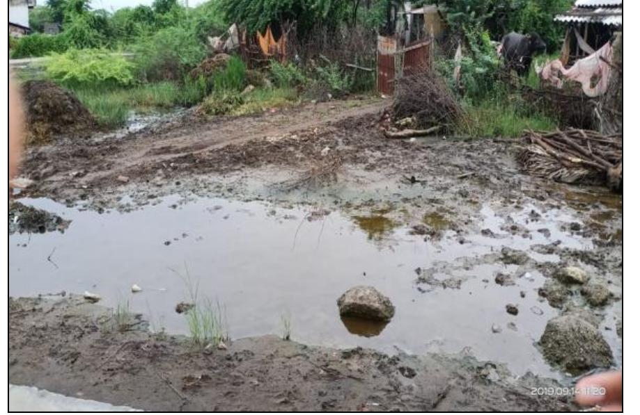 -5: stagnant water pool