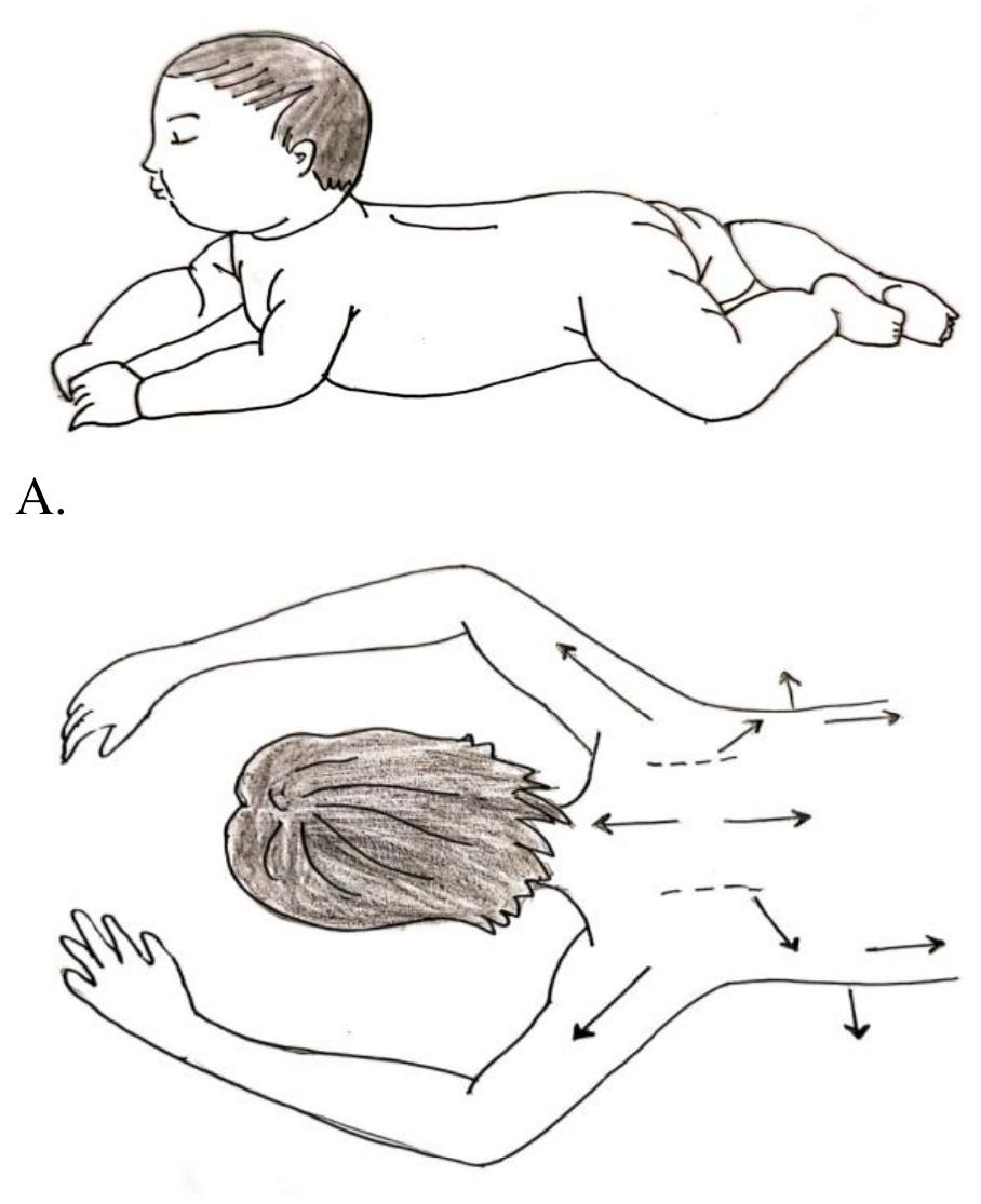Stabilization in prone. a. 4 month old healthy baby with