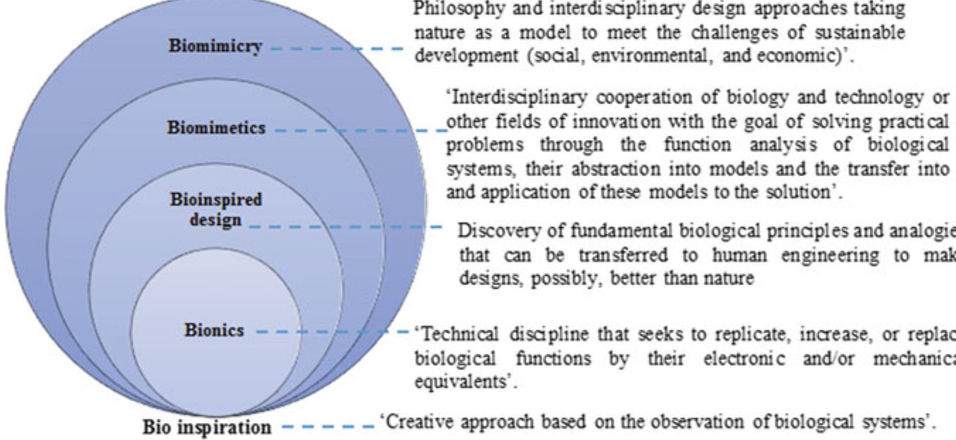 Figure 1 - from Biomimicry: Exploring Research, Challenges,
