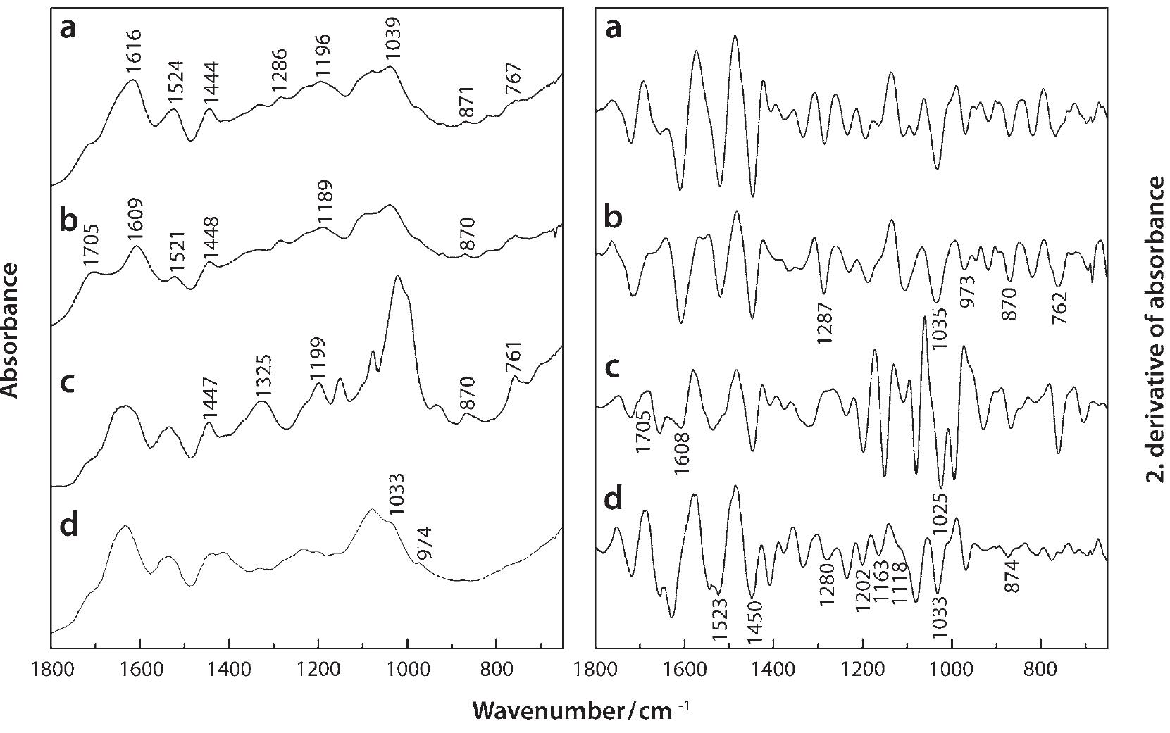 Atr-ftir absorbance spectra and their second order