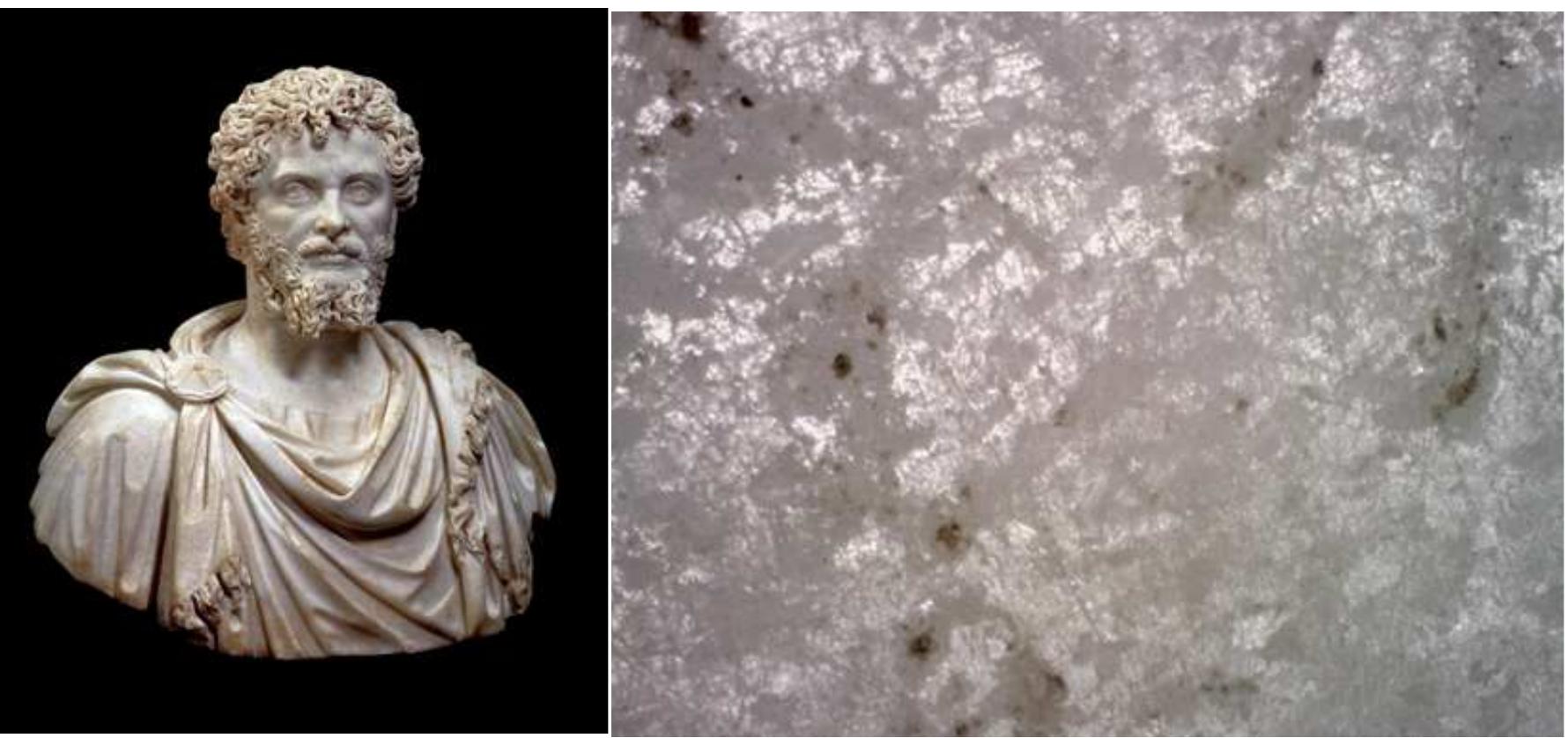 Marble portrait bust of septimius severus, and detail of