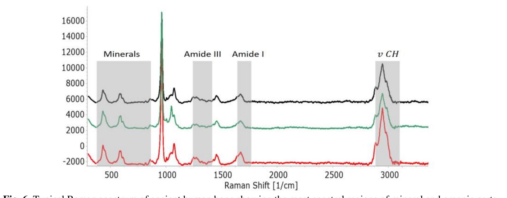 Typical raman spectrum of ancient human bone showing the