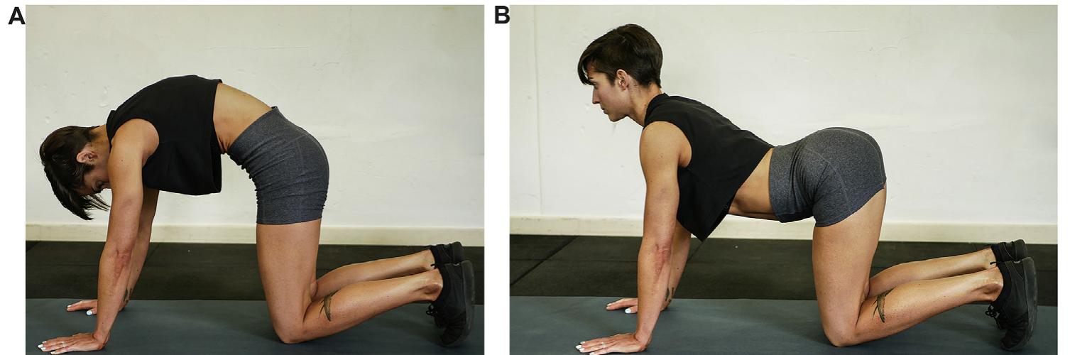 Image 1. 4 point kneeling (a) spinal flexion (b) extension.