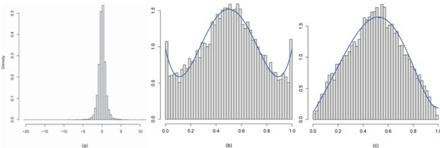 (a) the marginal distribution of daily returns; (b) plots