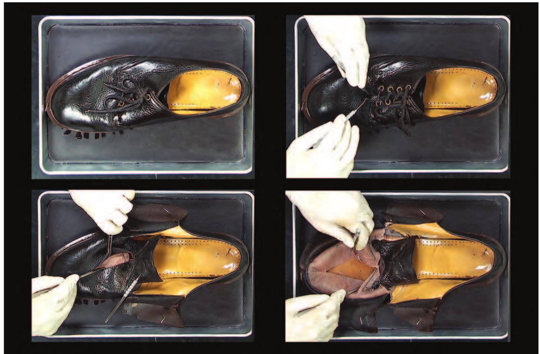 Title: inanimate dissection media: altered shoe, wax