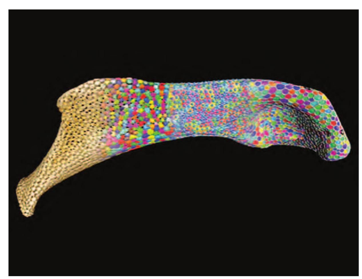 This image shows the first quantification of ancient