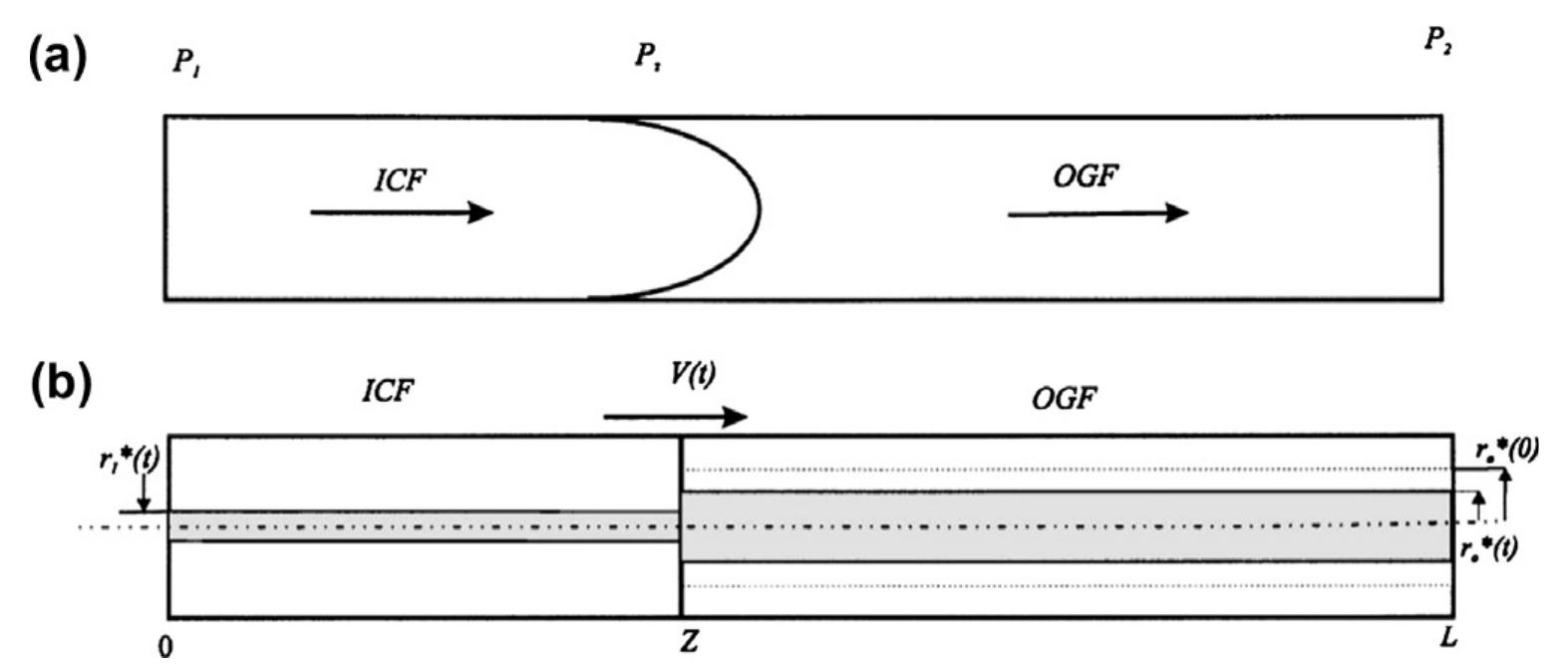 Schematic diagram of two-fluid displacement model. (a) true