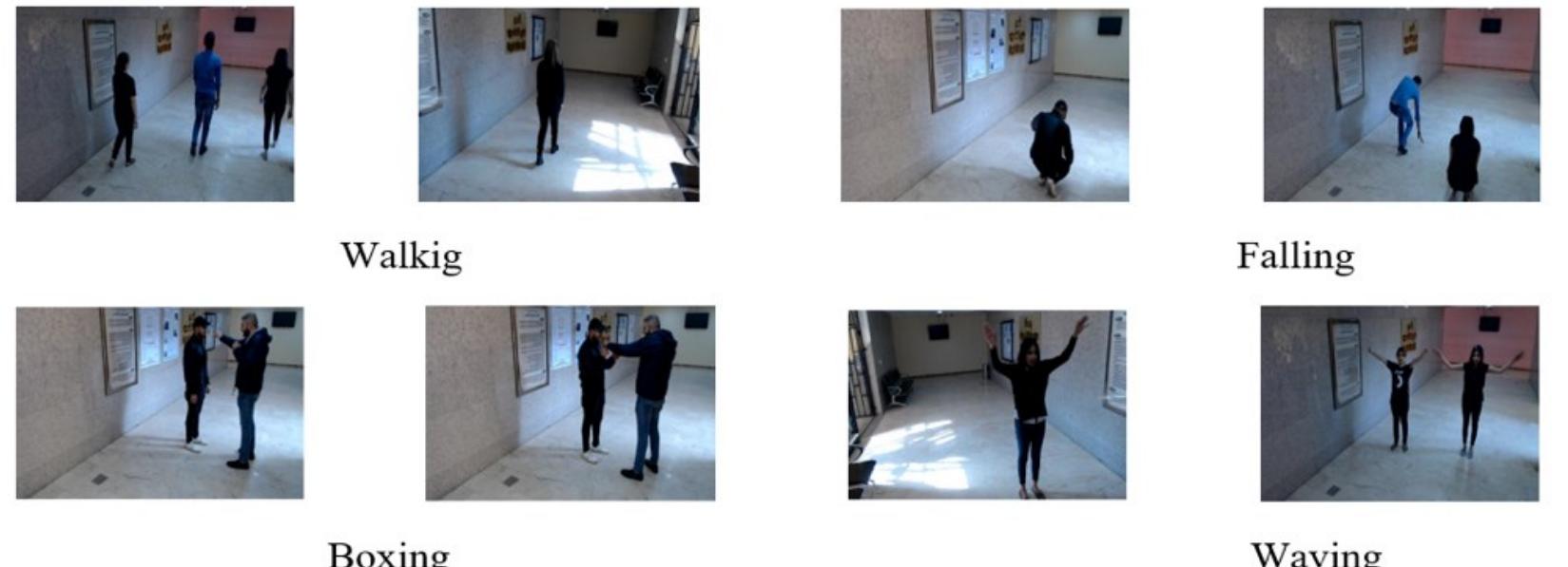 Examples of some the normal and abnormal of the human